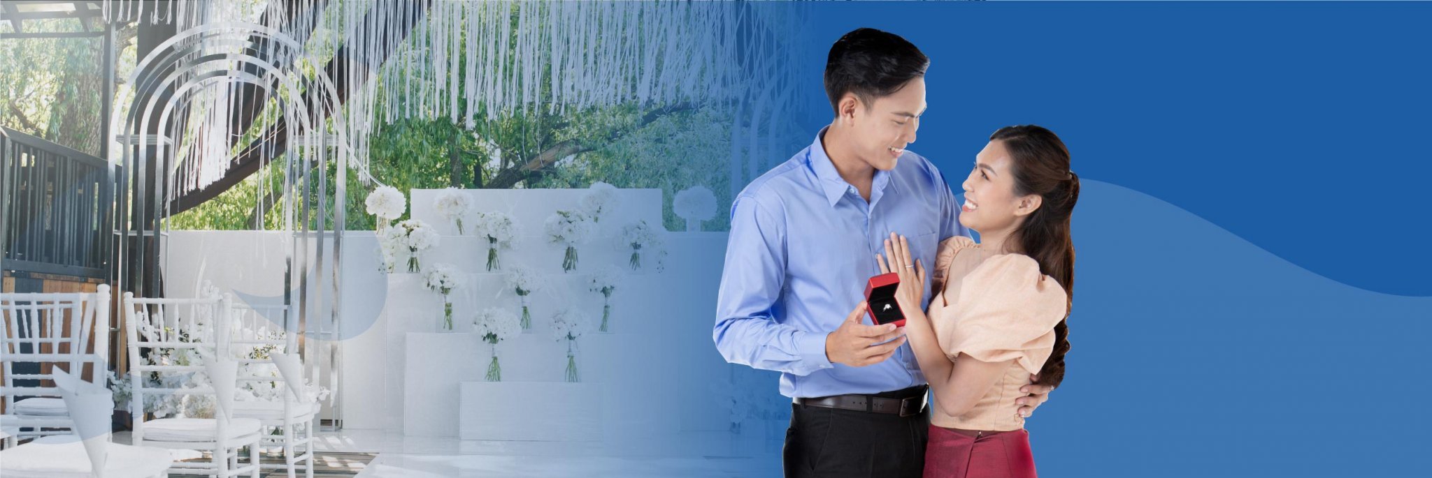 Overdraft - BFL Bred Group