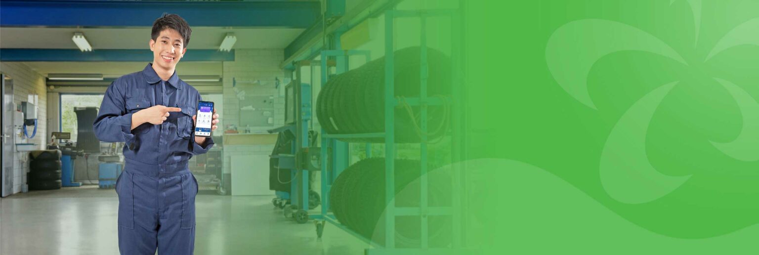 SME package - BFL Bred Group